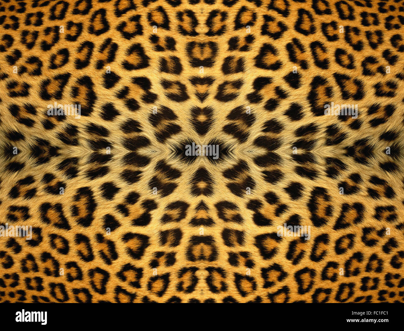 Leopard Fur Pattern Stock Photo - Alamy