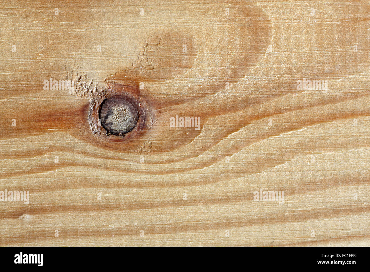 Wood grain closeup close hi-res stock photography and images - Alamy