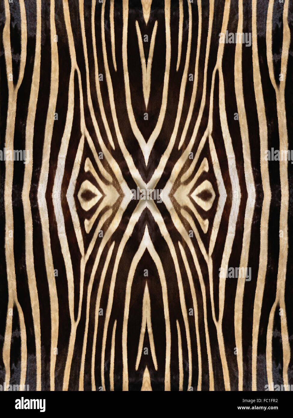 Zebra Skin Pattern Stock Photo - Alamy
