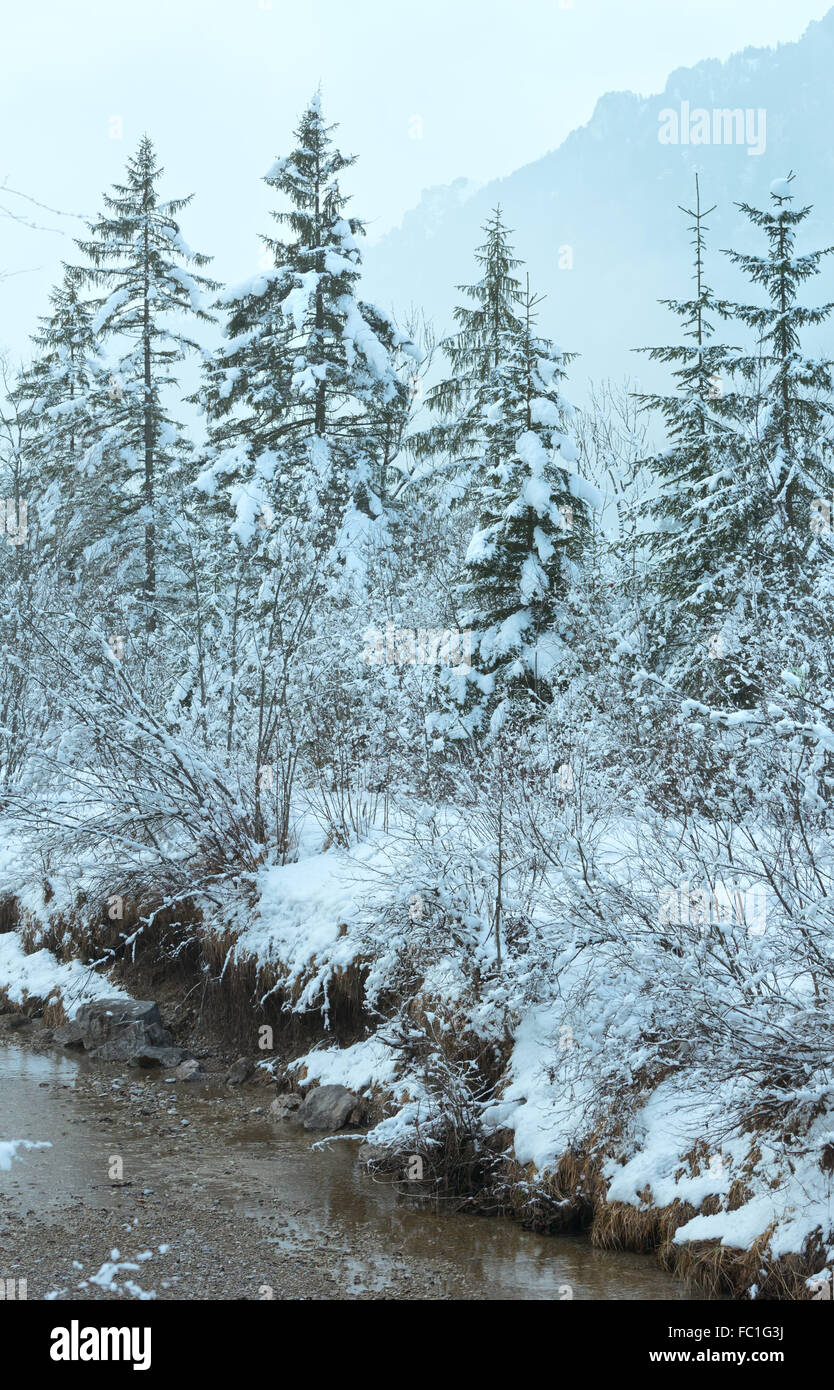 Small winter stream with snowy trees Stock Photo - Alamy