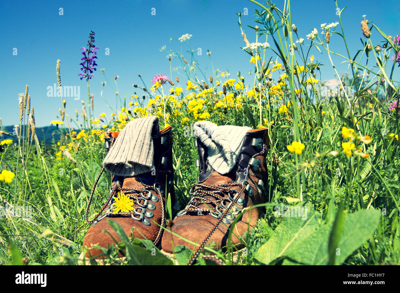 Alps hiking boots Stock Photo - Alamy
