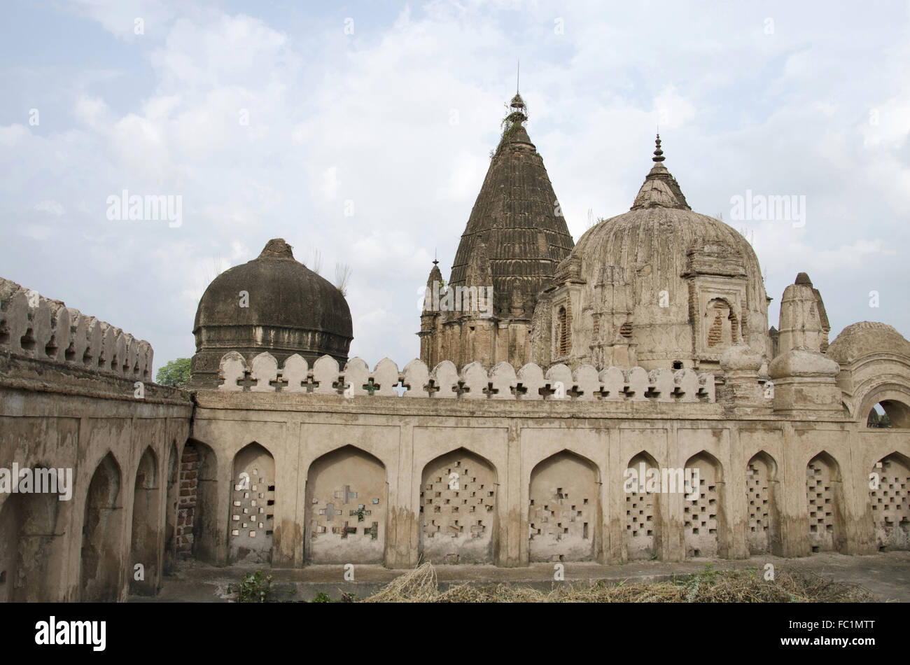Chhatris of Datia Kings. Datia. Madhya Pradesh. India Stock Photo - Alamy