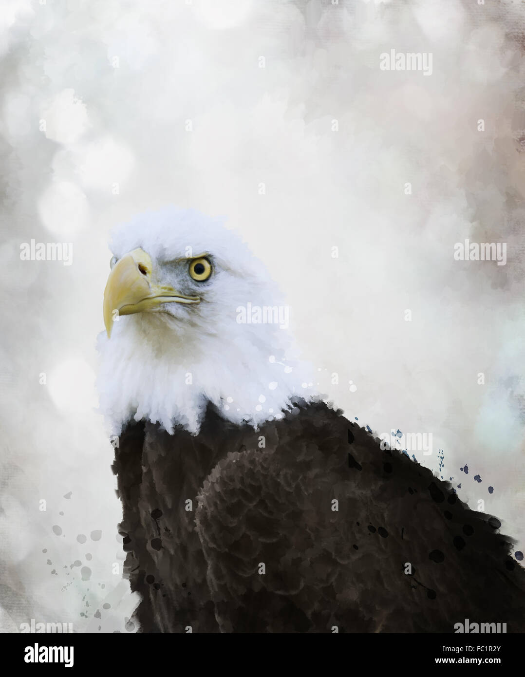 Eagle feather painting hi-res stock photography and images - Alamy