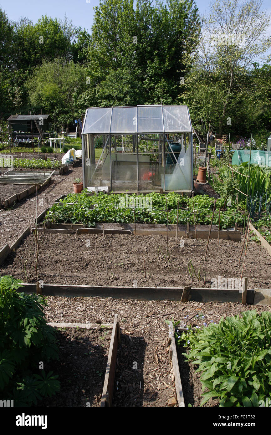 Allotment plot spring hi-res stock photography and images - Alamy