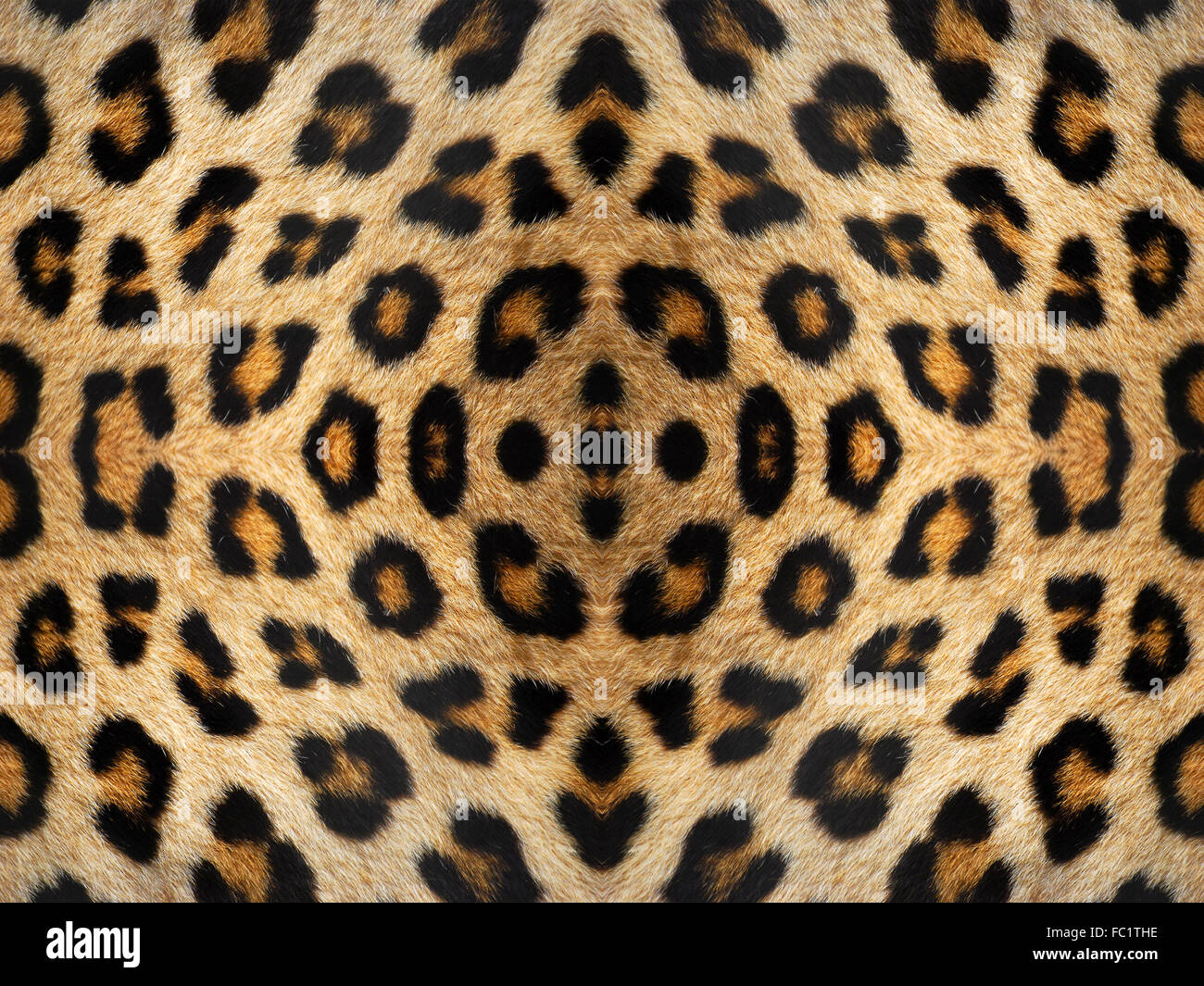 Leopard Fur Pattern Stock Photo - Alamy