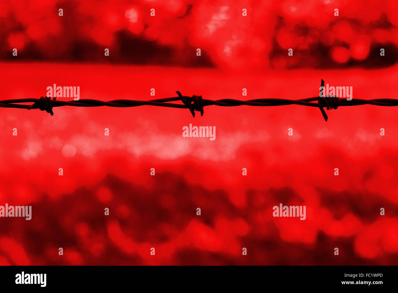 Barbed wire against a red background Stock Photo - Alamy