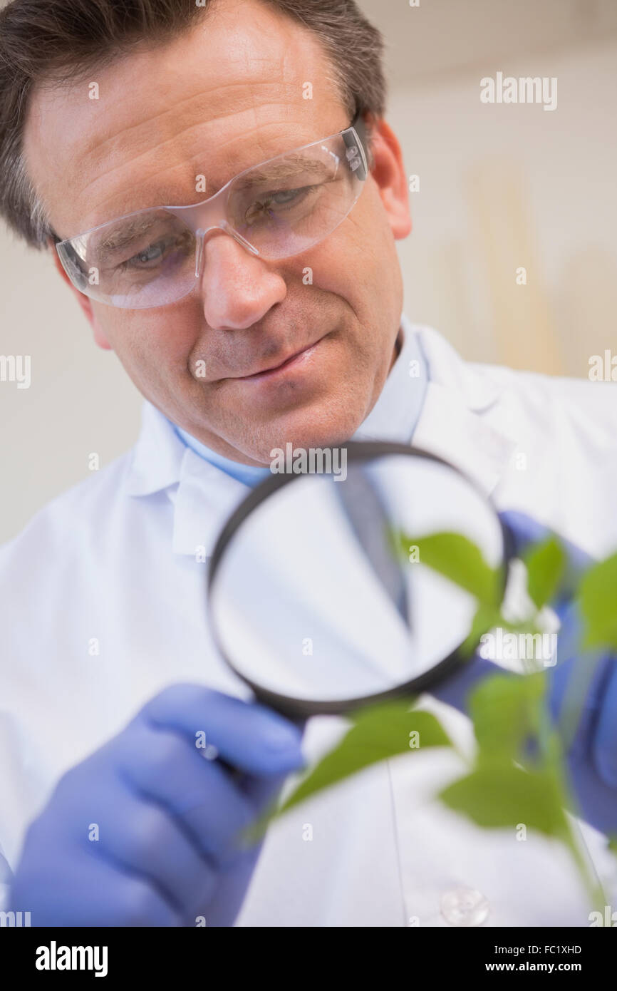 Scientist examining plants with magnifying glass Stock Photo - Alamy