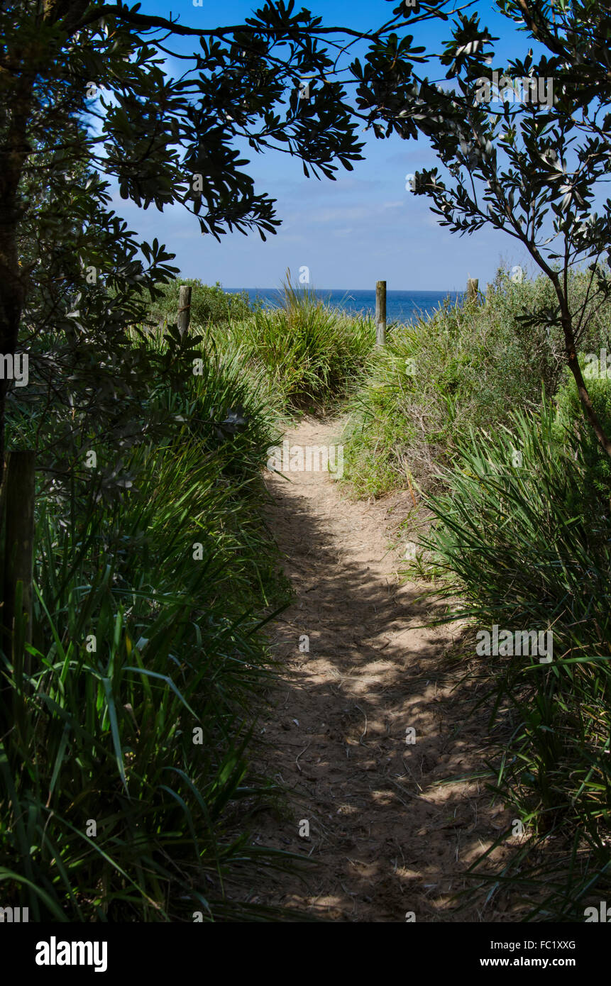 A narrow sandy path leads to blue skies and the golden sands of an ...