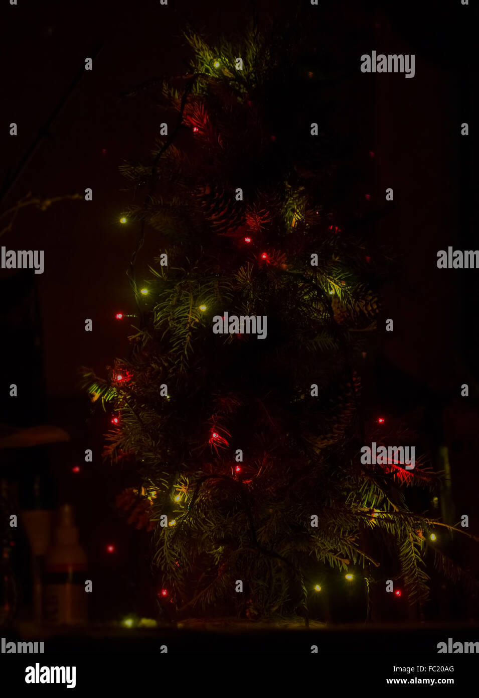 Lights on Christmas tree in twilight at home Stock Photo - Alamy