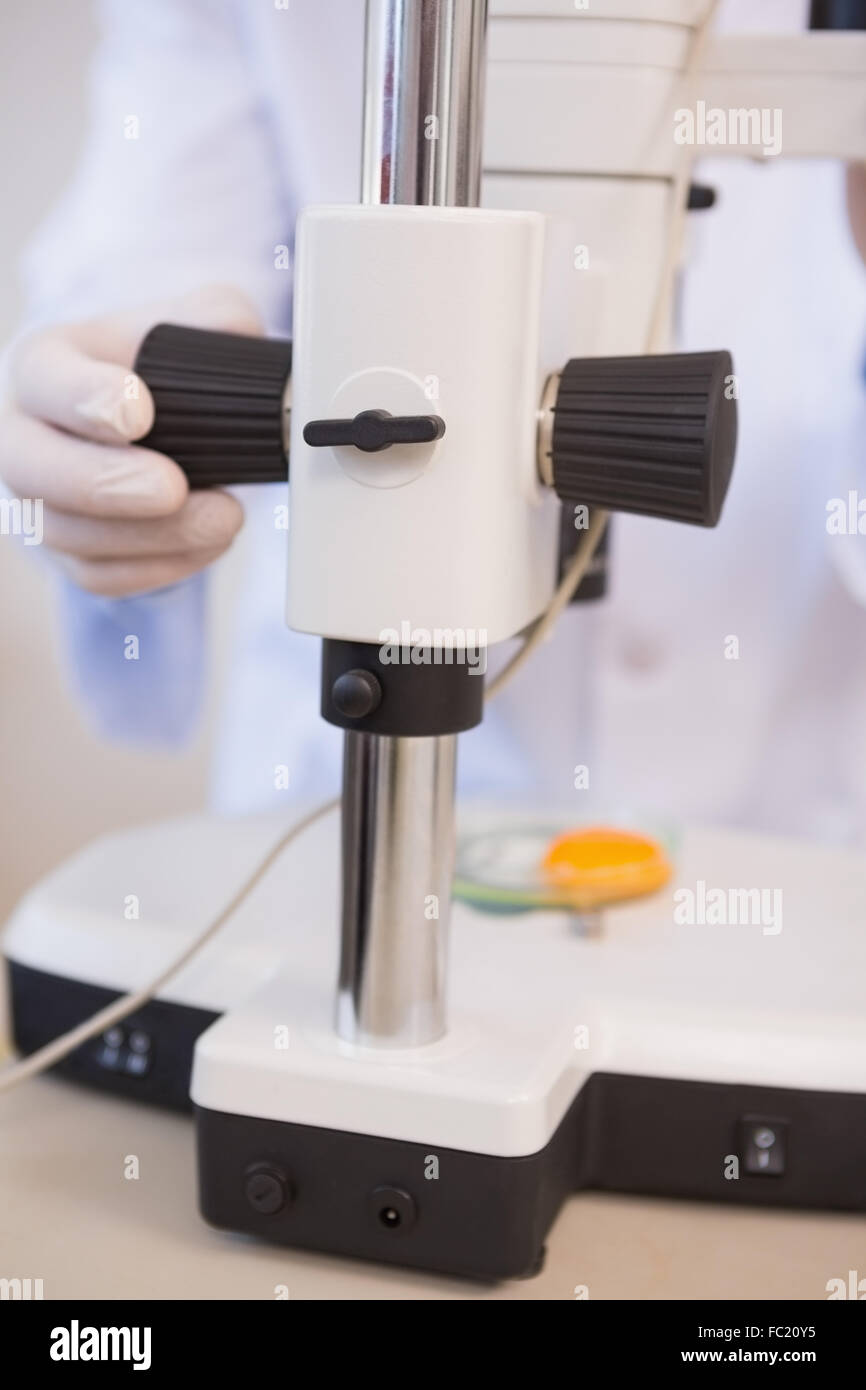 Food scientist looking at egg yolk through microscope Stock Photo - Alamy
