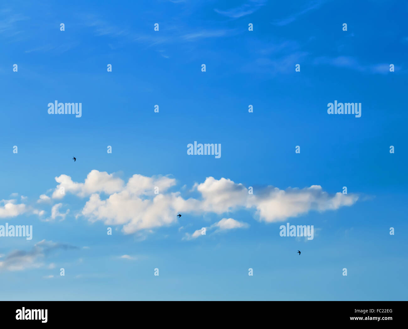 High purity hi-res stock photography and images - Alamy