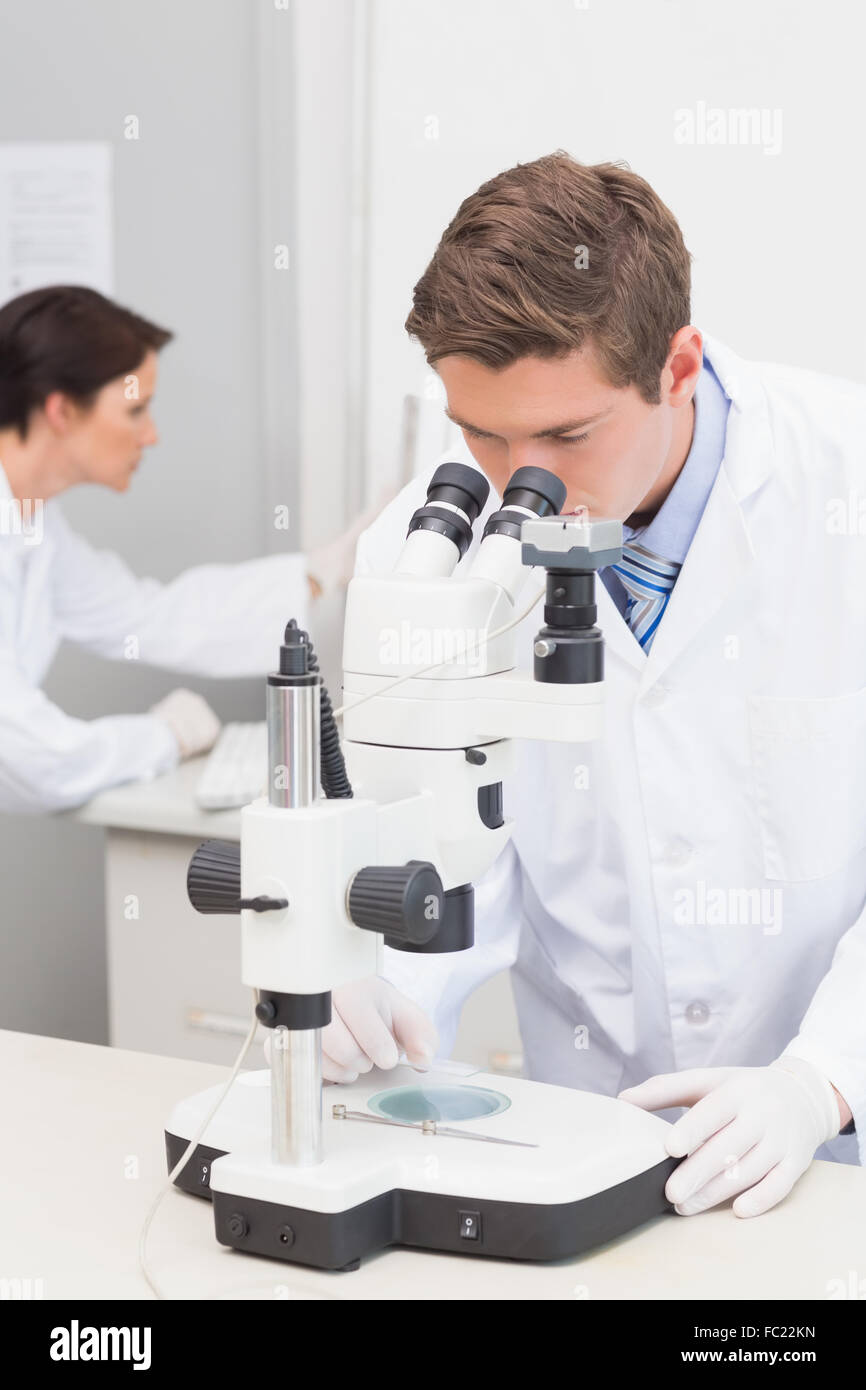 Scientists working with microscope and computer Stock Photo - Alamy