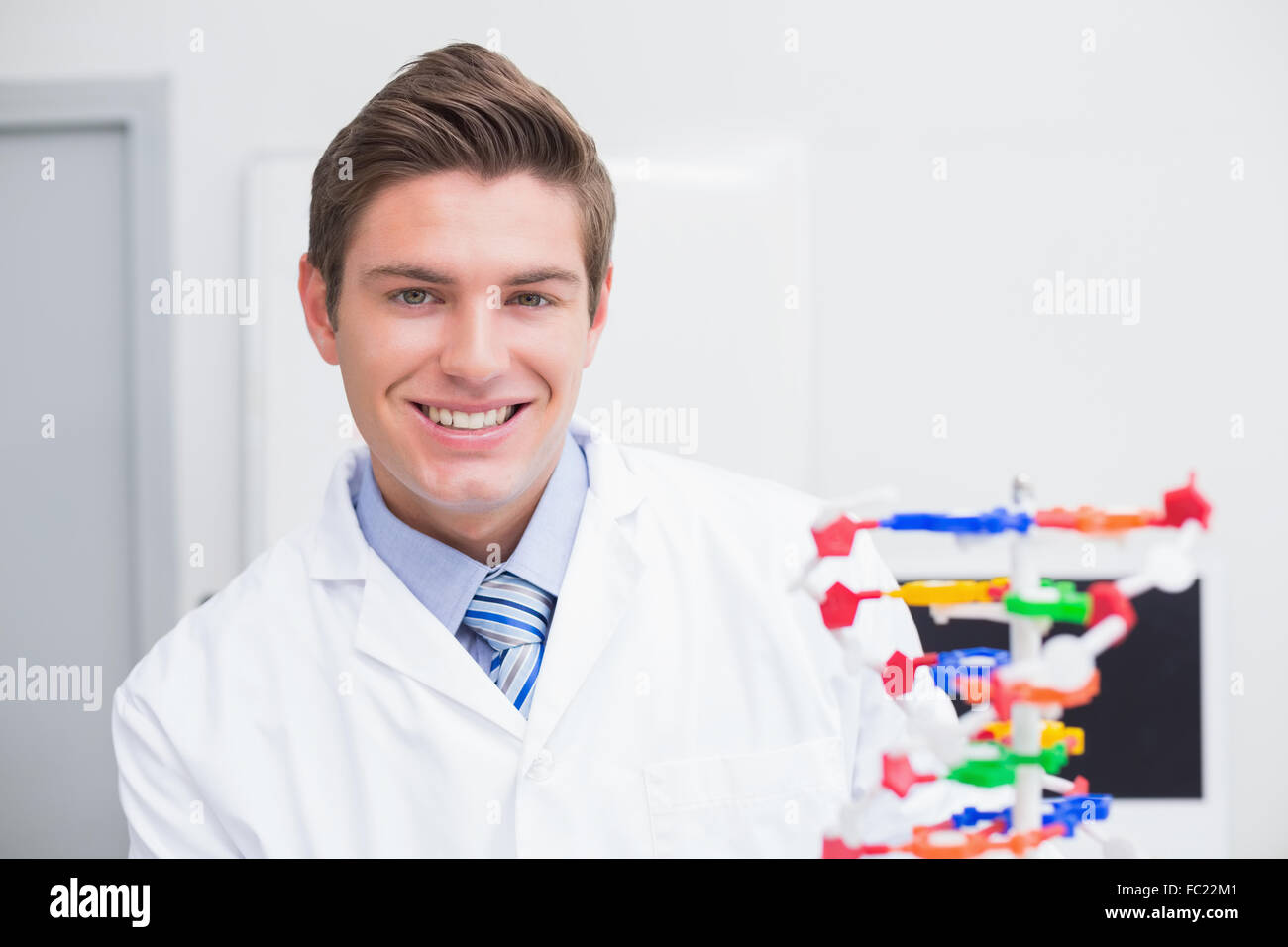 Scientist examining dna model and smiling at camera Stock Photo - Alamy