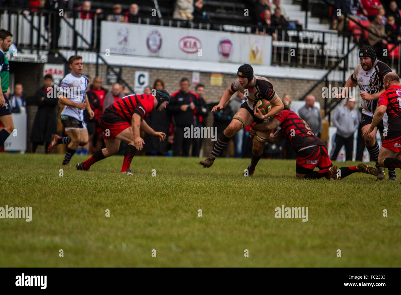 Aberavon rfc hi-res stock photography and images - Alamy