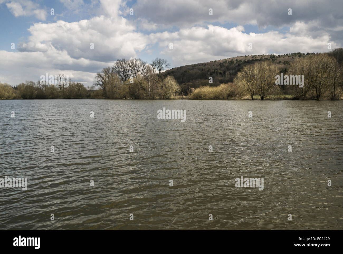 Meadow scenery at the Main Stock Photo - Alamy