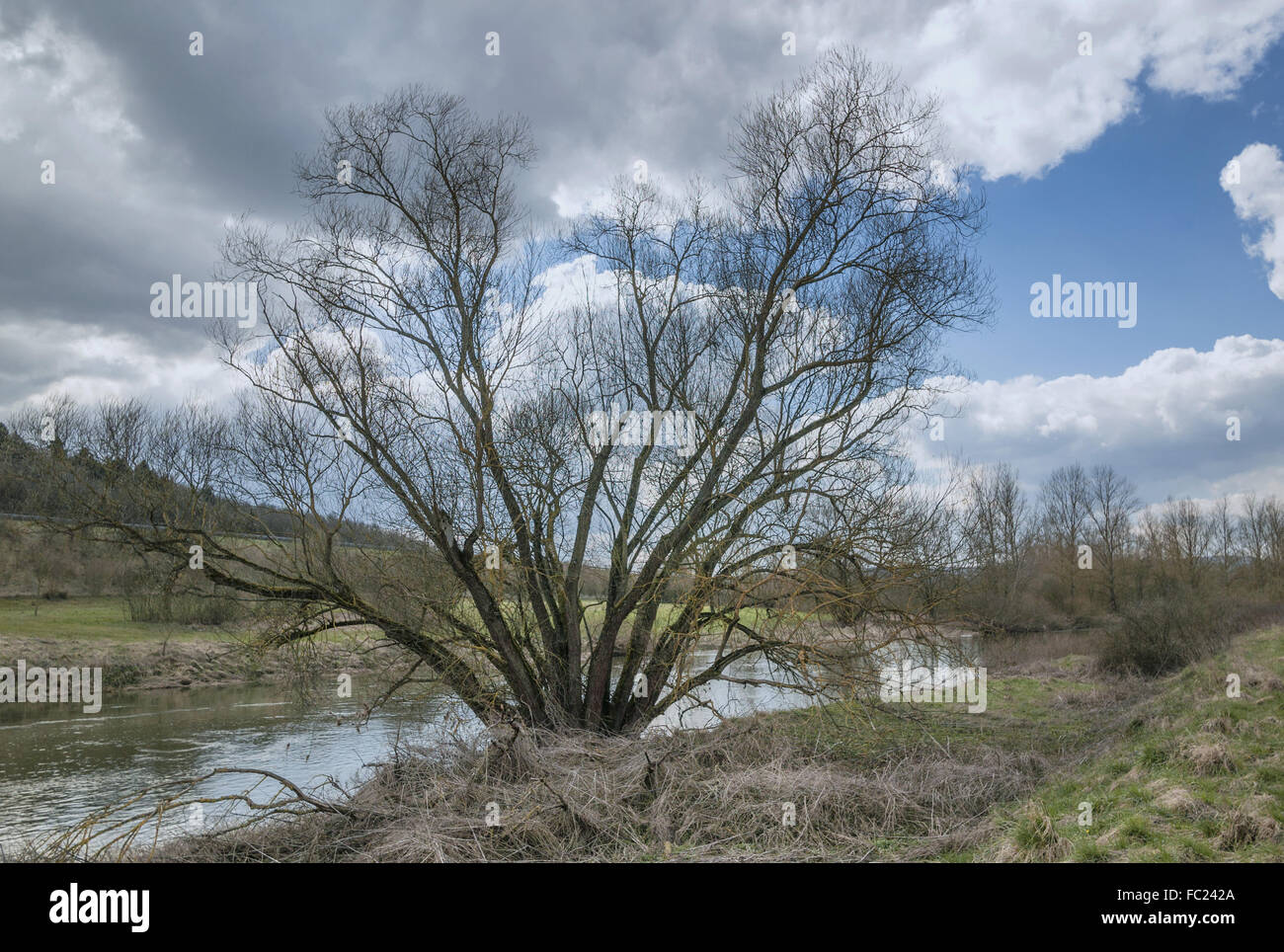 Meadow scenery hi-res stock photography and images - Alamy