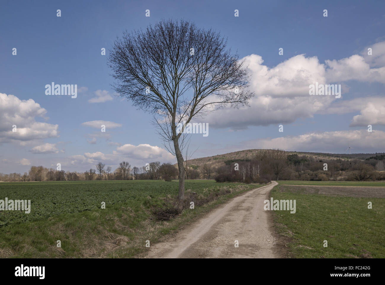 Meadow scenery hi-res stock photography and images - Alamy