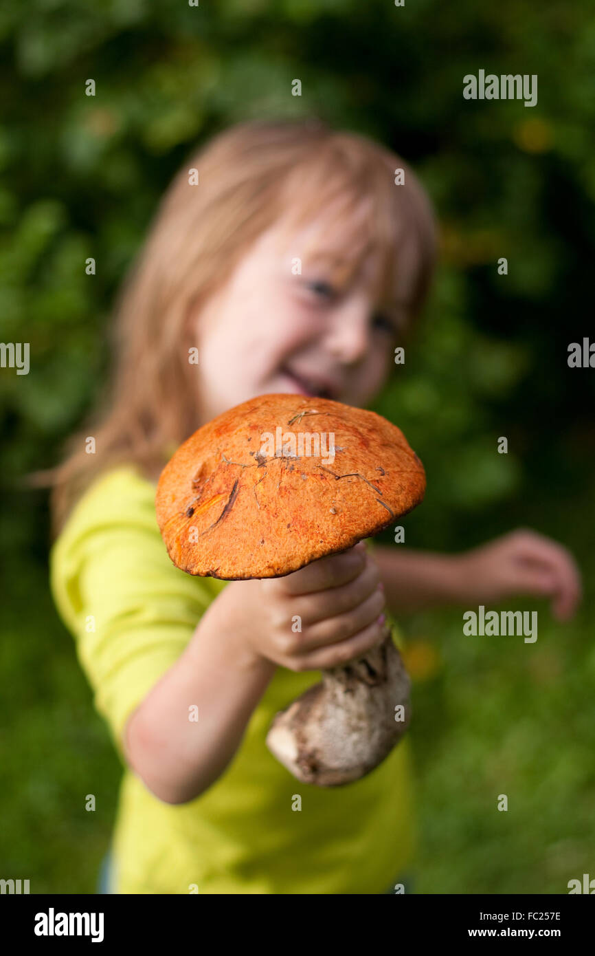 Color mashroom hi-res stock photography and images - Alamy