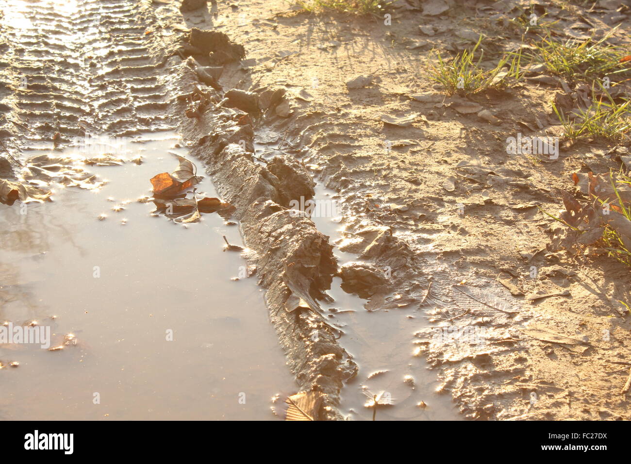 Puddle on path Stock Photo - Alamy