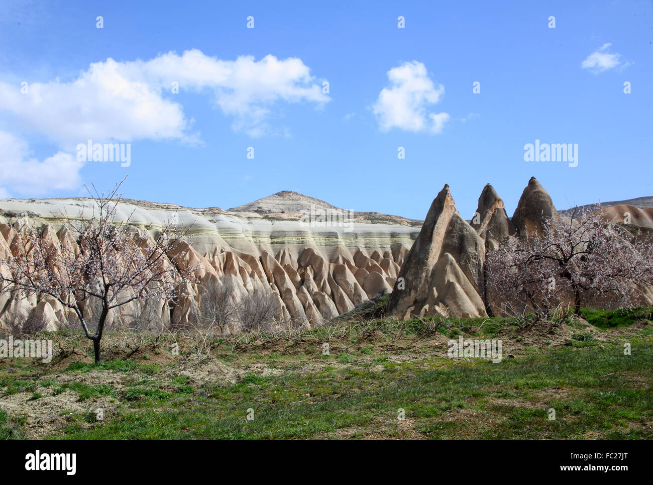 Bizarre landscape hi-res stock photography and images - Alamy