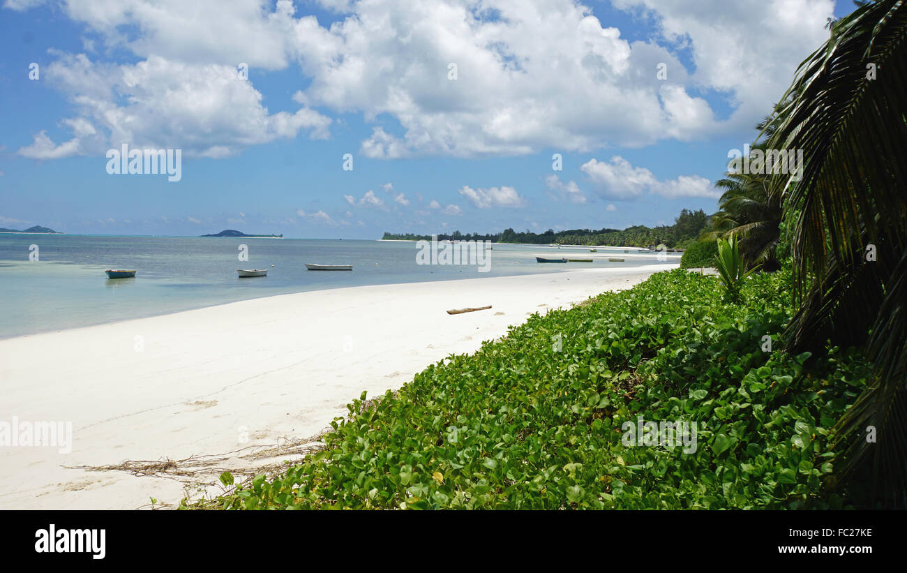 natural tropical bay Stock Photo - Alamy