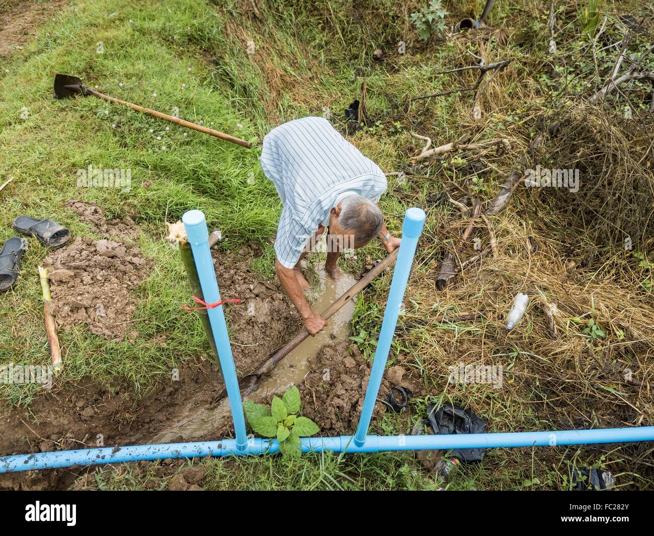 Si Liam, Buri Ram, Thailand. 20th Jan, 2016. A farmer works on his ...