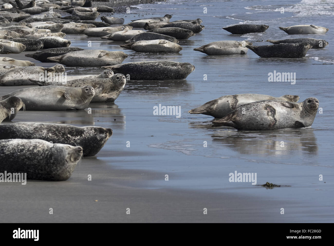 Density wave hi-res stock photography and images - Alamy