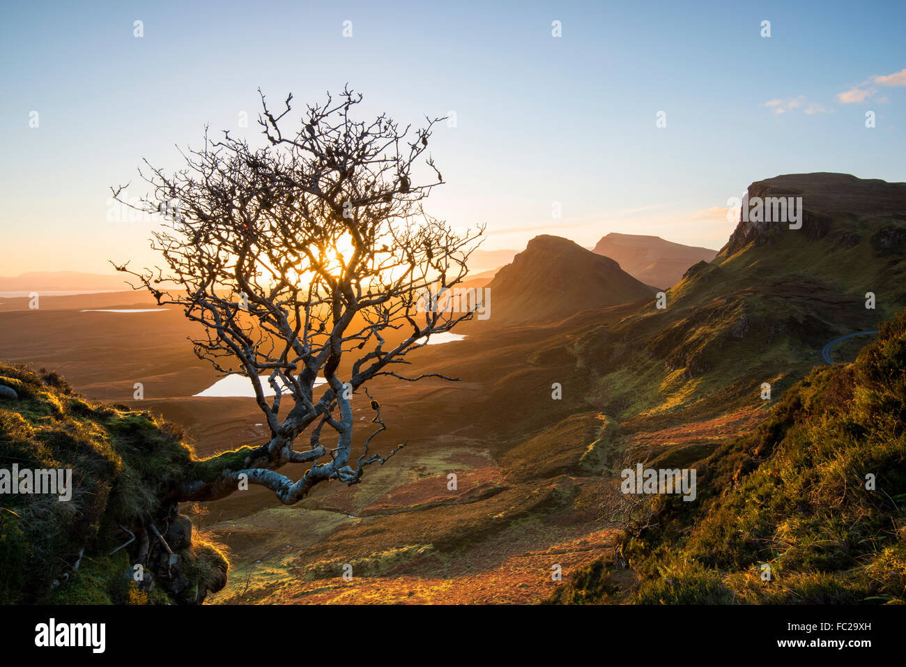 Isle of skye tree hi-res stock photography and images - Alamy