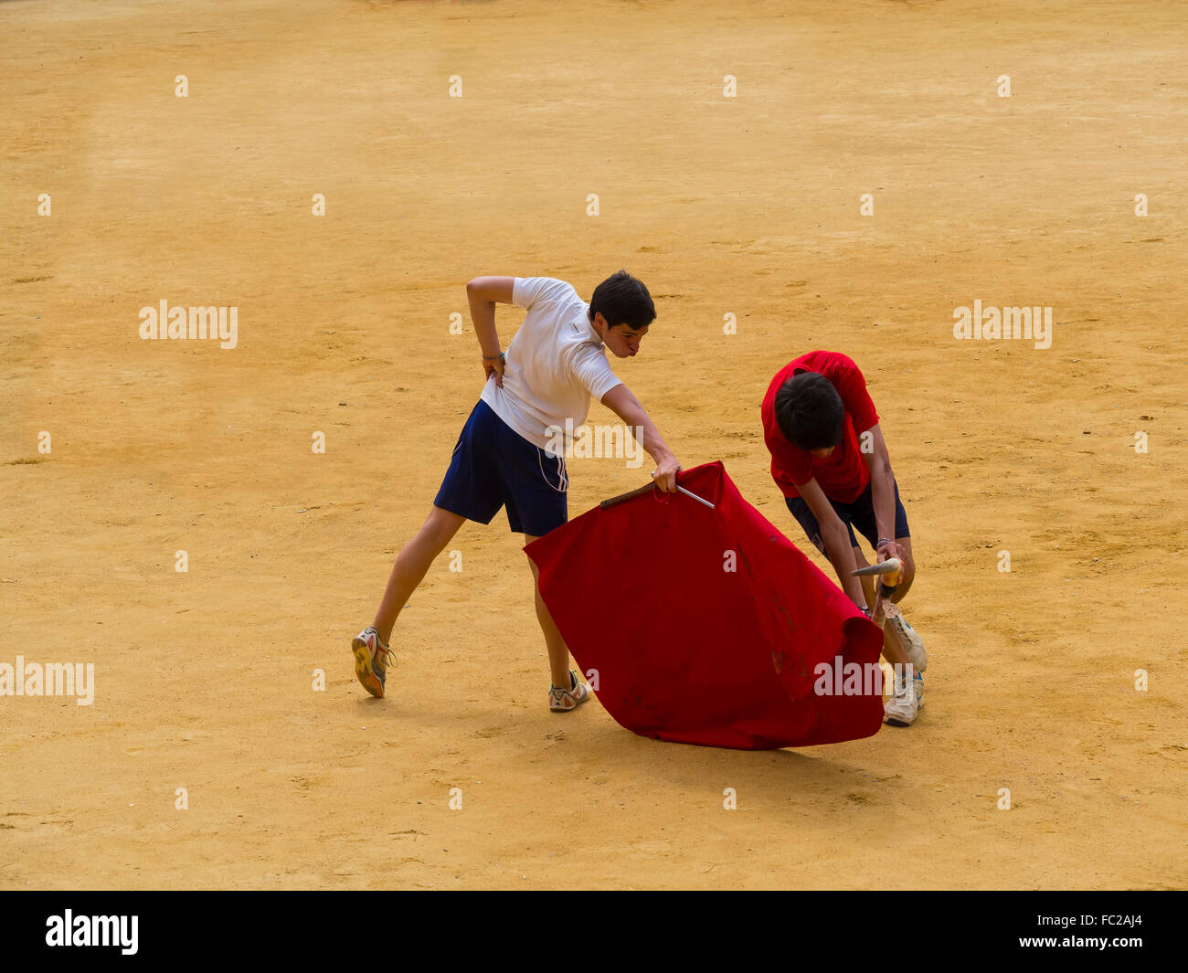Toreros practicing bullfighting in bullring, Plaza de toros de La ...
