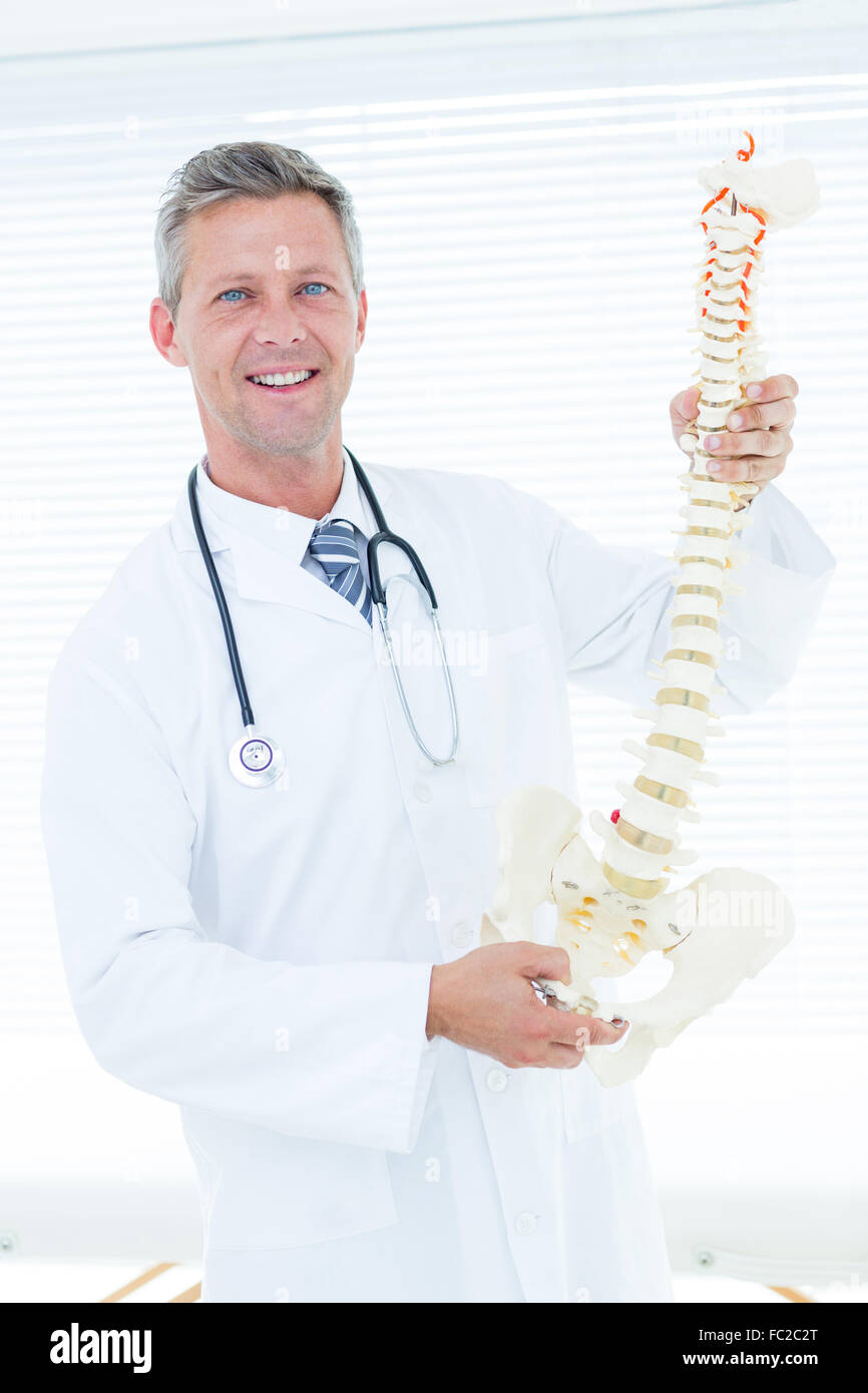 Doctor holding anatomical spine and smiling at camera Stock Photo - Alamy