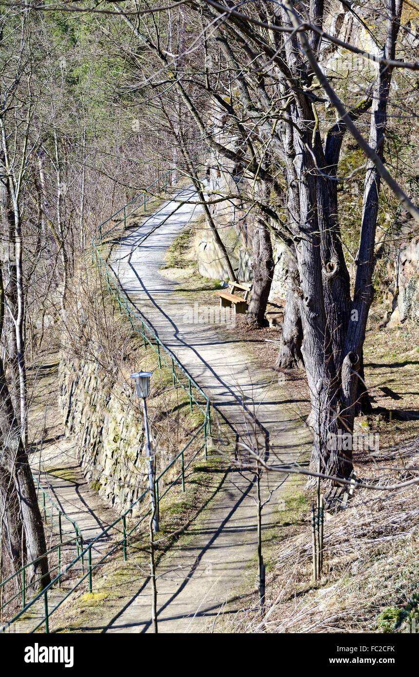 walking way at sunshine Stock Photo - Alamy
