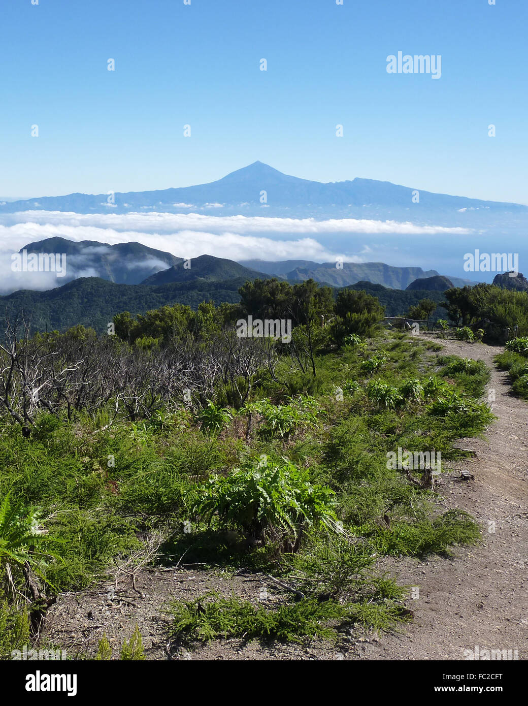 Blue walking path hi-res stock photography and images - Alamy