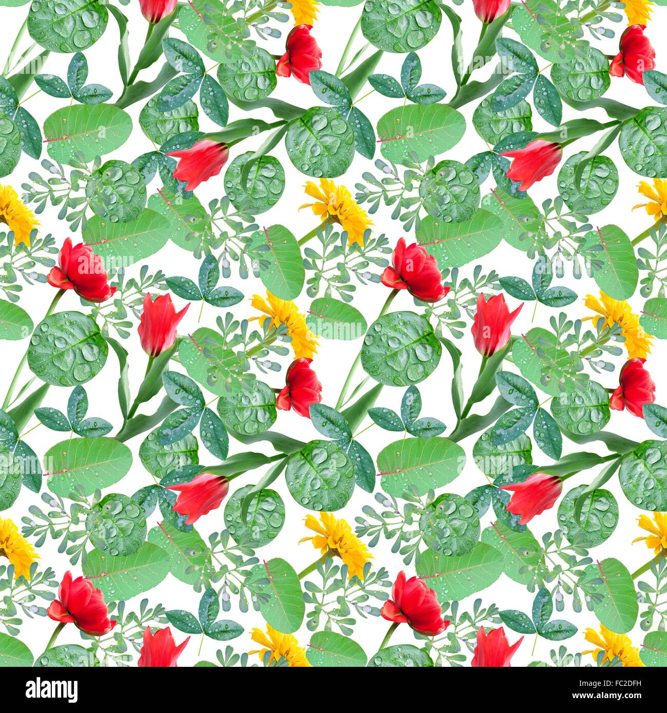 Seamless organic eco botanical pattern for design Stock Photo - Alamy