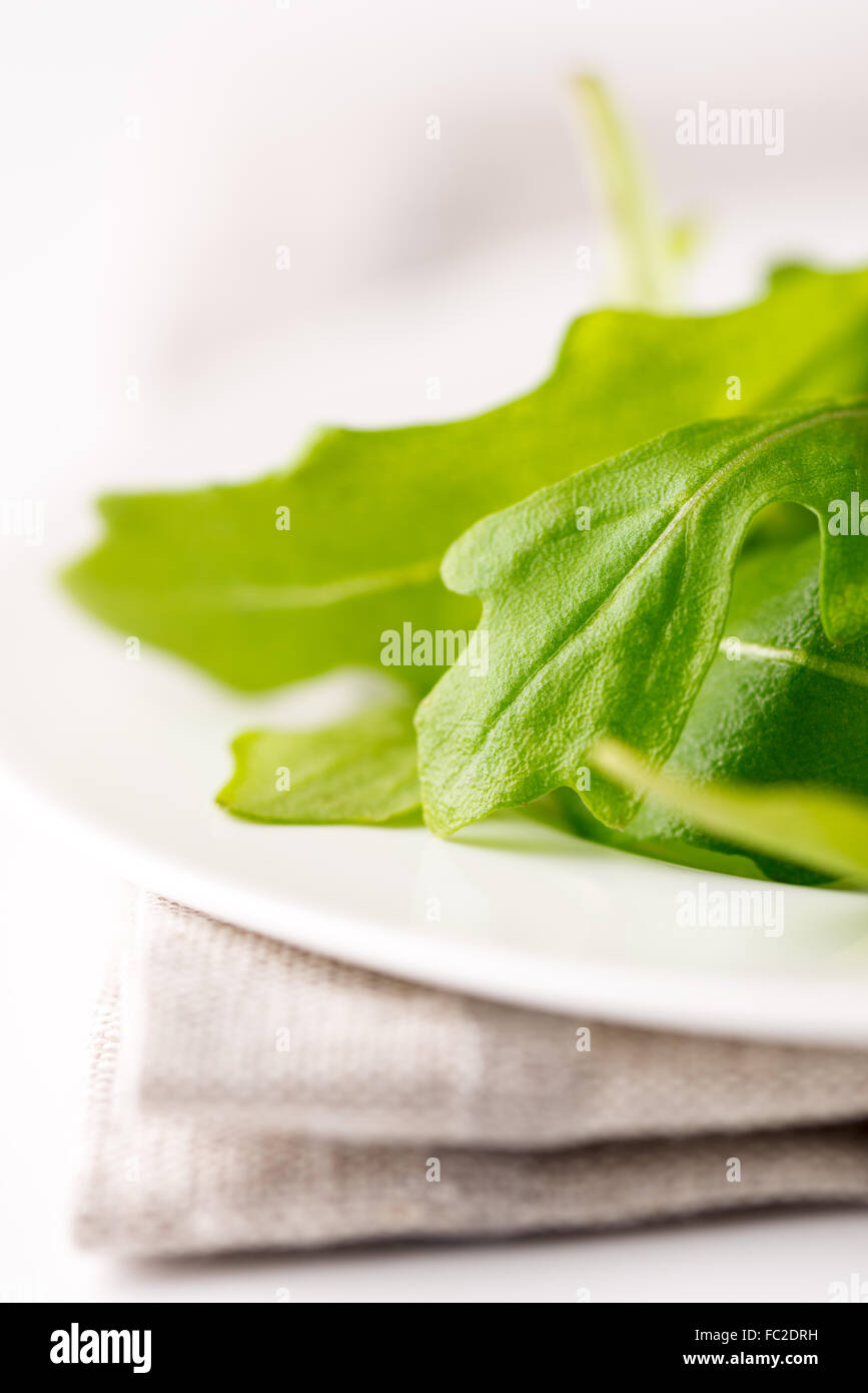 Fresh arugula leaf Stock Photo - Alamy