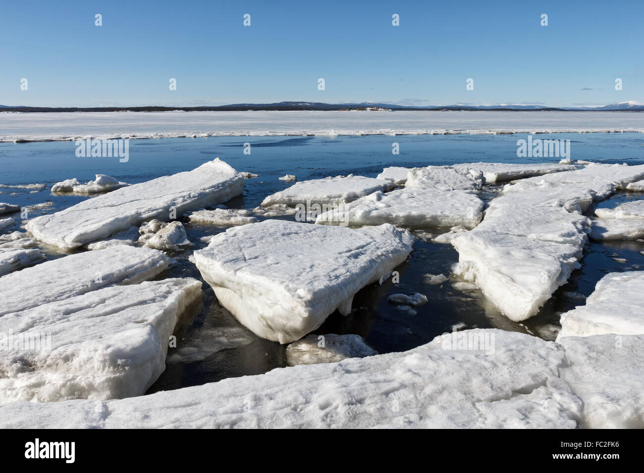 Sea ice is destroyed in the spring Stock Photo - Alamy
