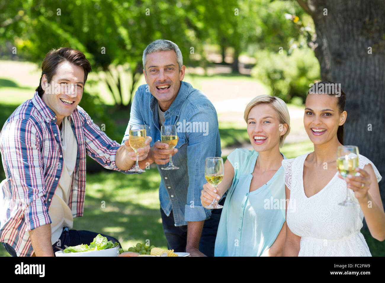 Happy friends toasting and smiling at the camera Stock Photo - Alamy