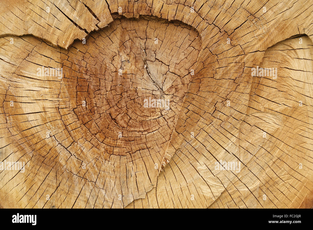 Cracked wood texture Stock Photo - Alamy