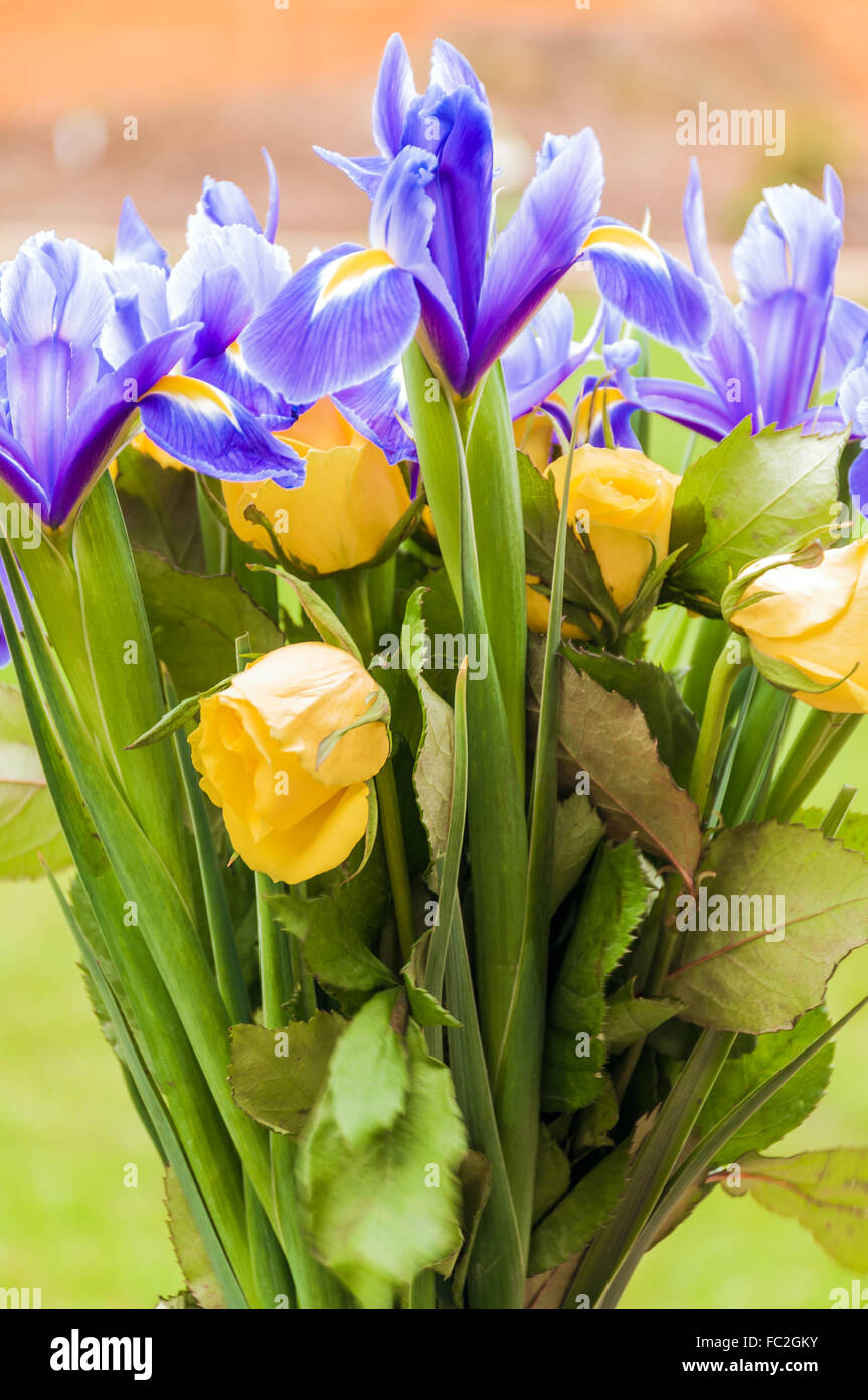 Bouquet of Spring Flowers Stock Photo - Alamy