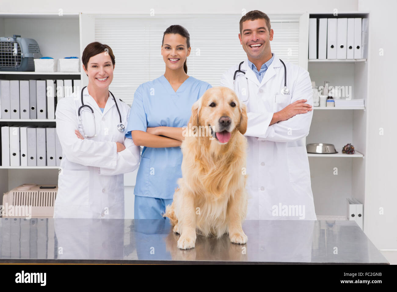 Veterinarian coworker smiling at camera with dog Stock Photo - Alamy