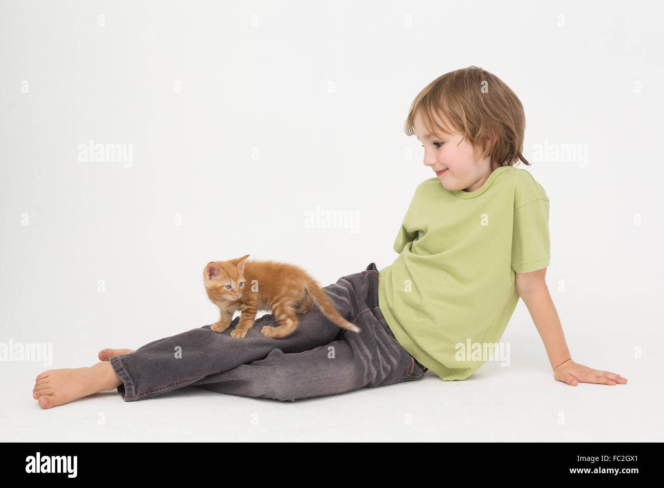 Boy with kitten sitting over white background Stock Photo - Alamy