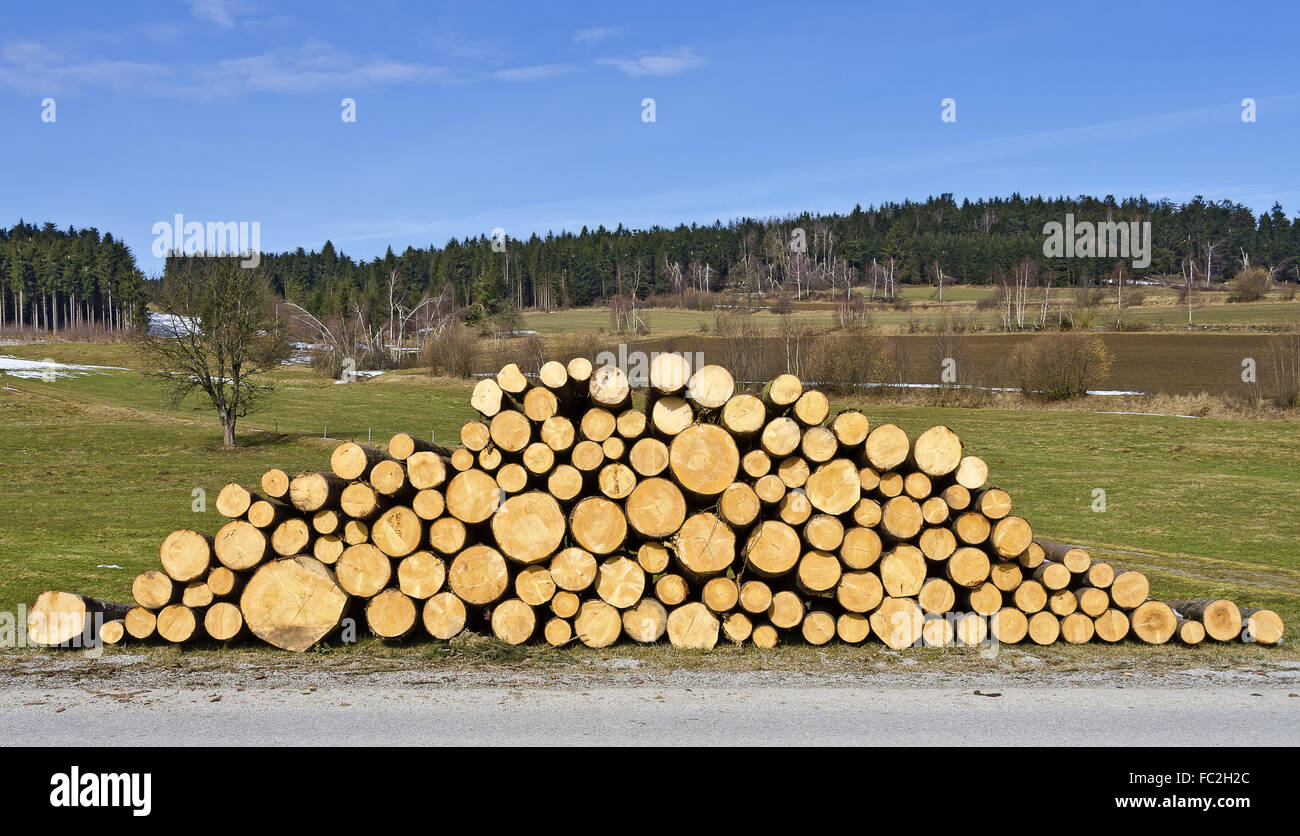 Fresh log hi-res stock photography and images - Alamy