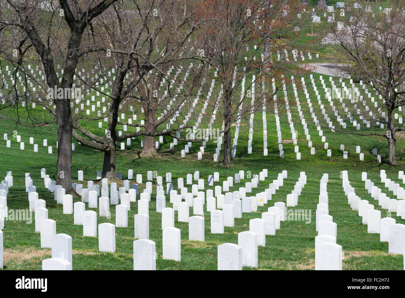 Lines of tombstones Stock Photo - Alamy