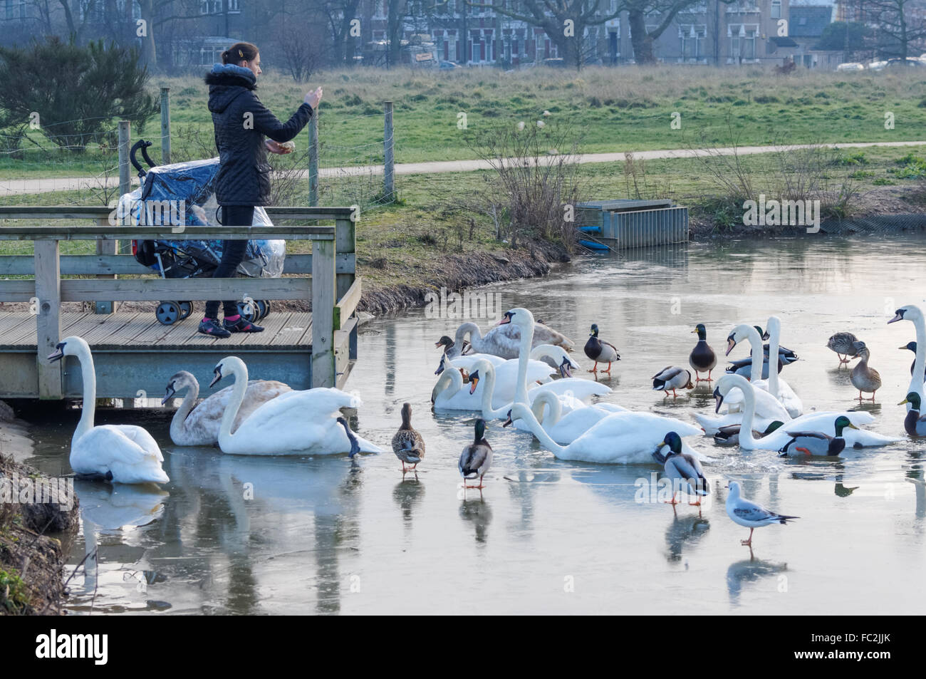 Wanstead park hi-res stock photography and images - Alamy