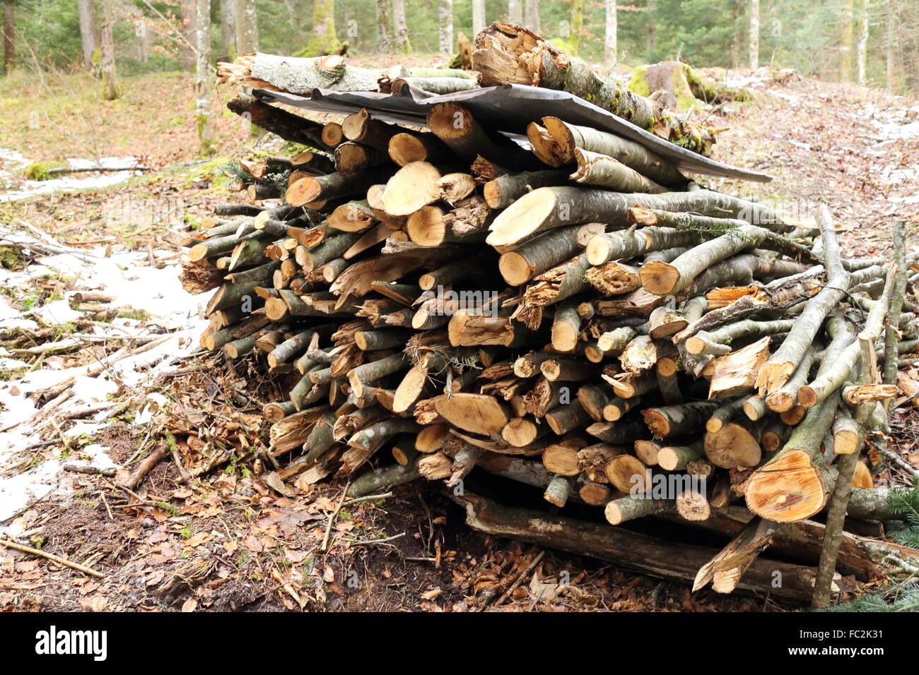 fire wood stack Stock Photo - Alamy