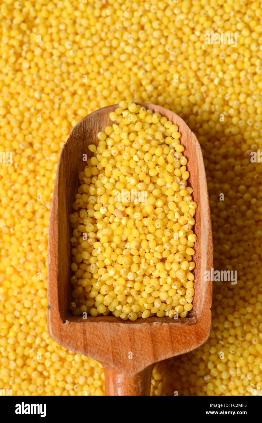 Millet seed hi-res stock photography and images - Alamy