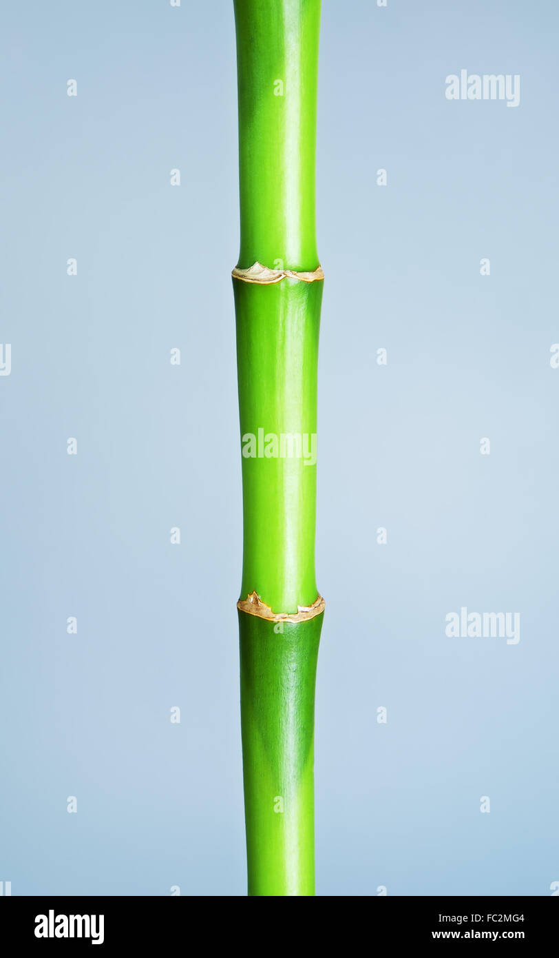Bamboo stick hi-res stock photography and images - Alamy