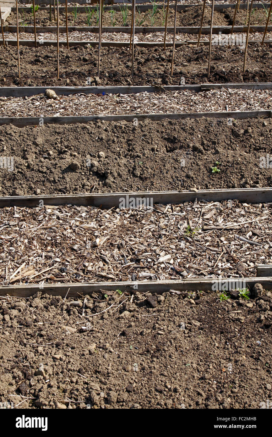 Soil beds hi-res stock photography and images - Alamy