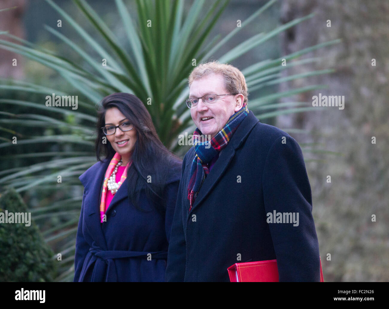 David Mundell,secretary of state for Scotland,arrives at Downing street ...
