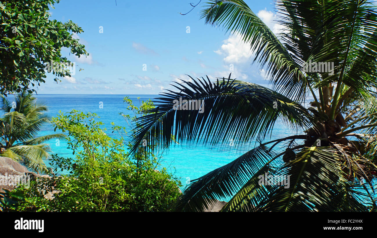 amazing seychelles landscape Stock Photo - Alamy
