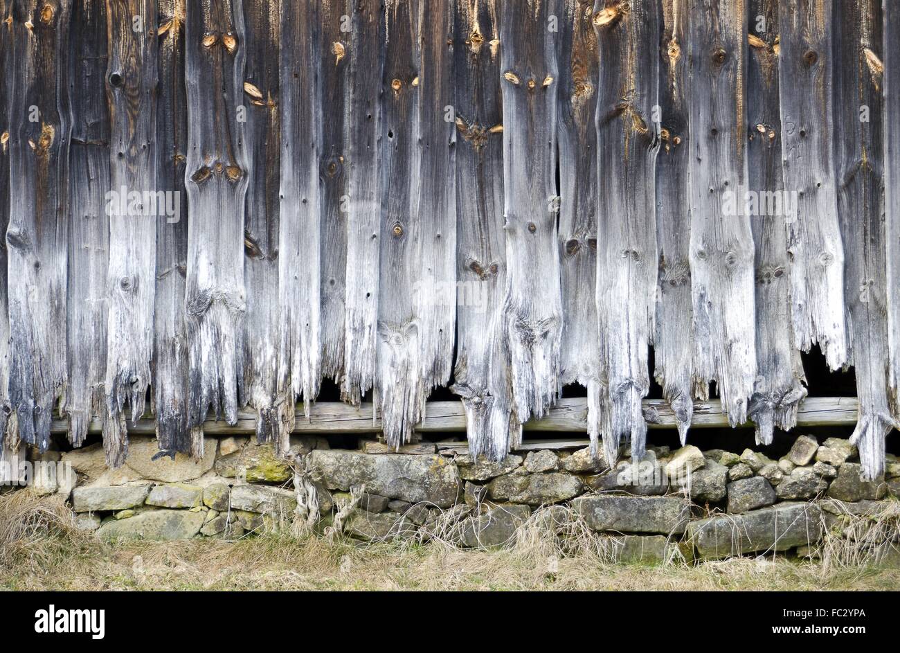 weather-beaten wooden wall with rotted planks Stock Photo - Alamy